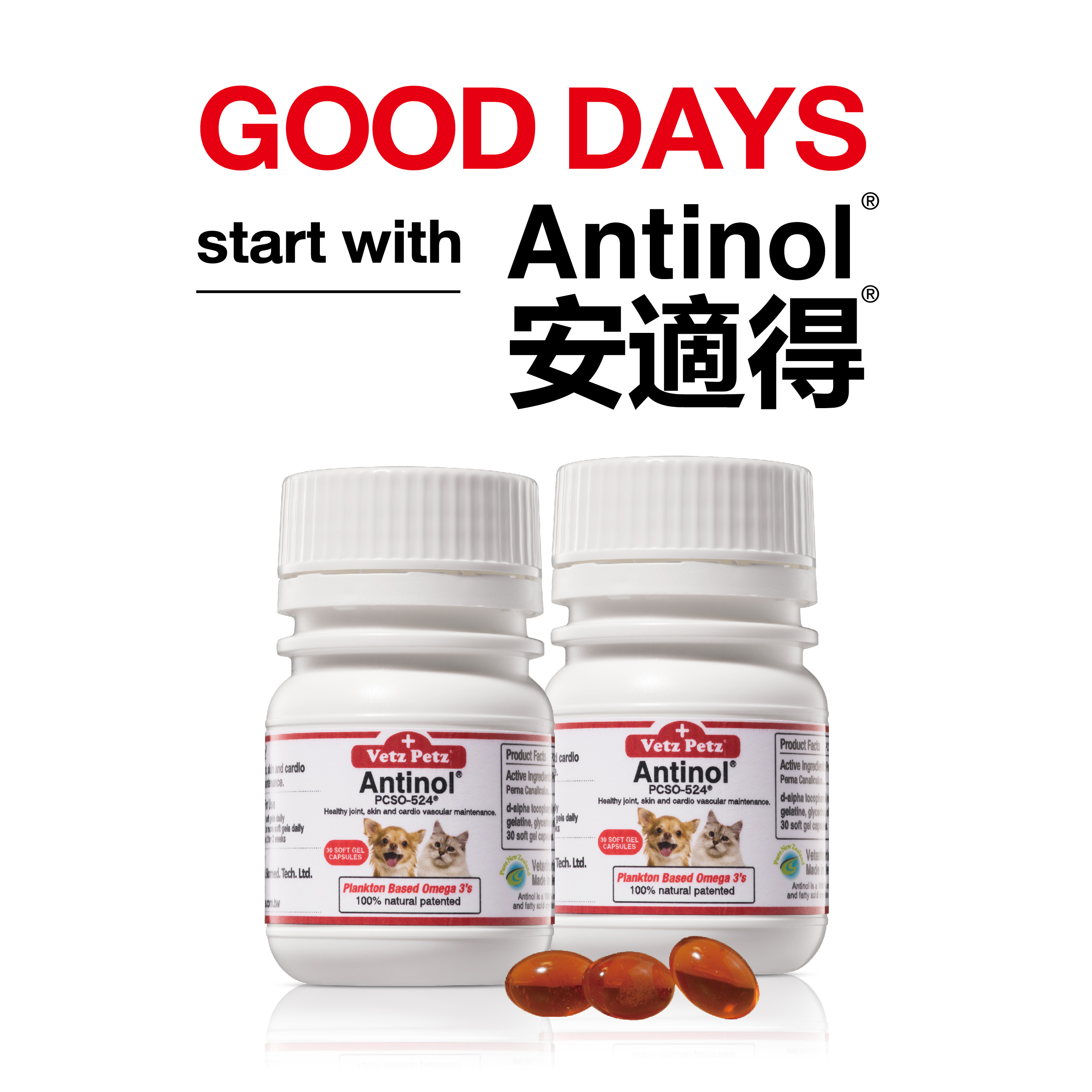 產品介紹 | Antinol安適得||紐西蘭100%天然綠唇貝脂肪酸